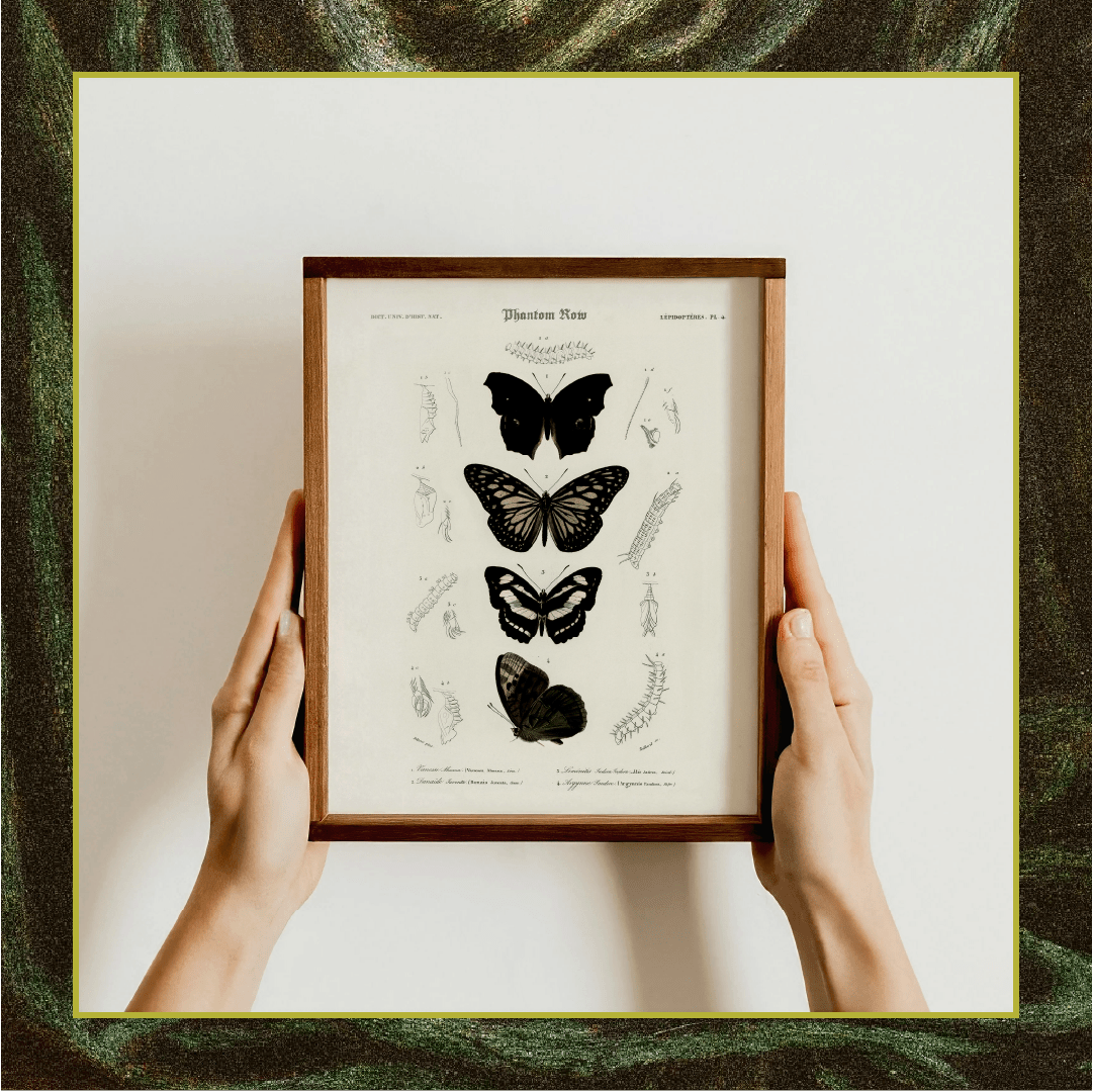 Art & Stationery – Phantom Row